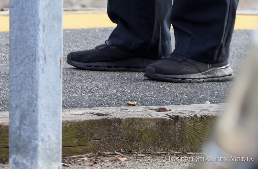 17-year-old in custody after report of a gun fired near Waltham ...