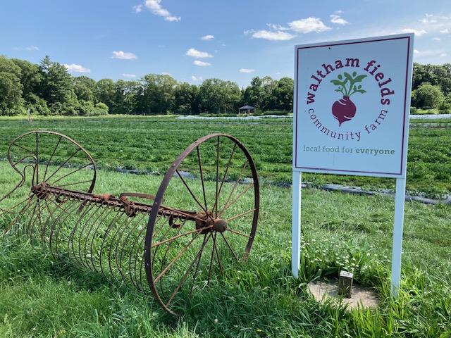 Waltham City Council greenlights farm enhancements, confirms new ...